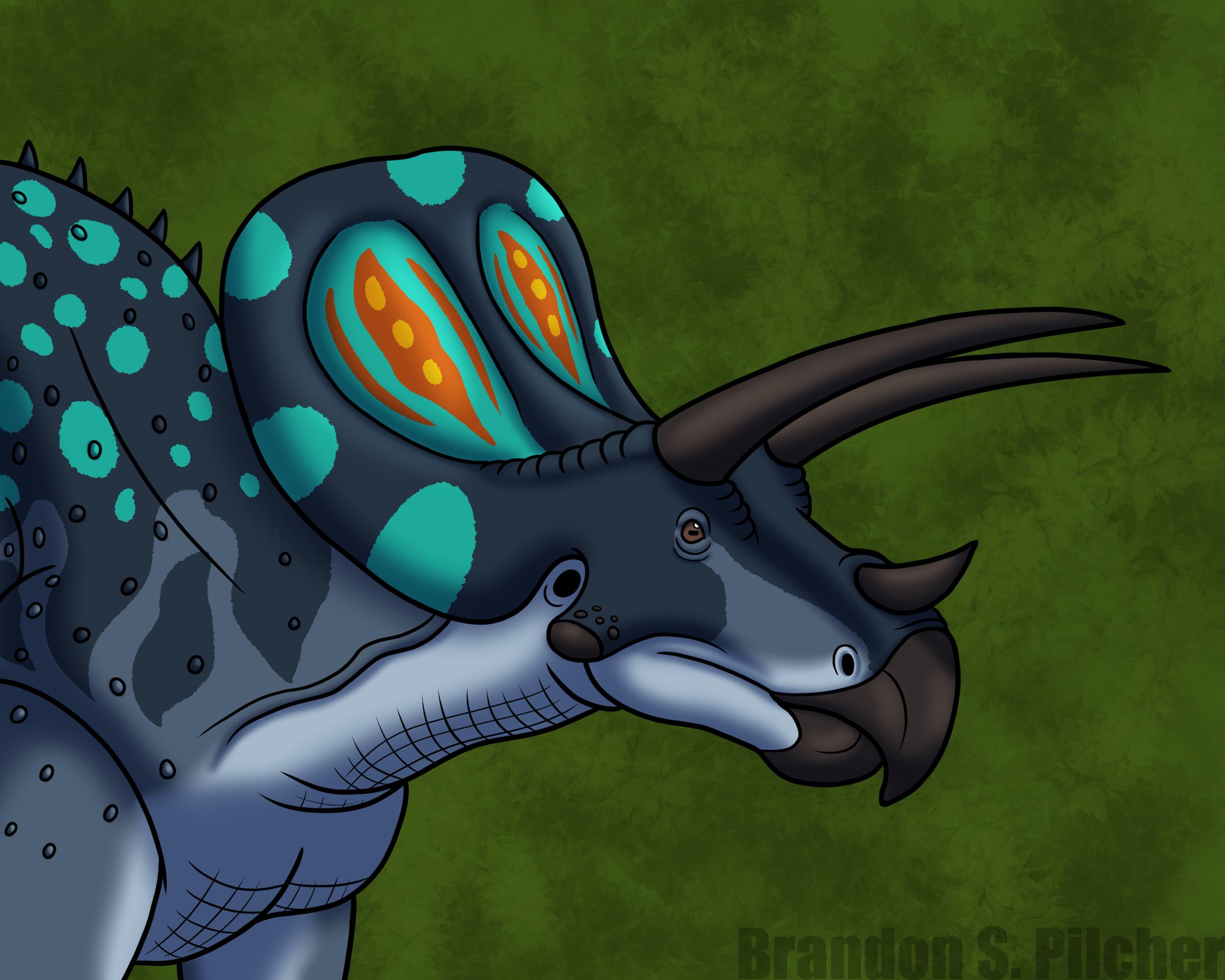 Gallery Brandon Pilcher S Creative Adventures