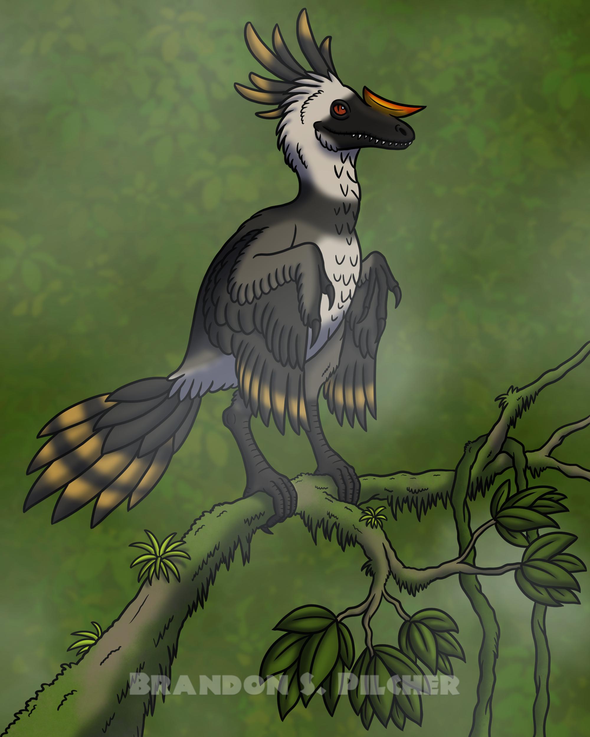 Avisaurus Brandon Pilcher S Creative Adventures