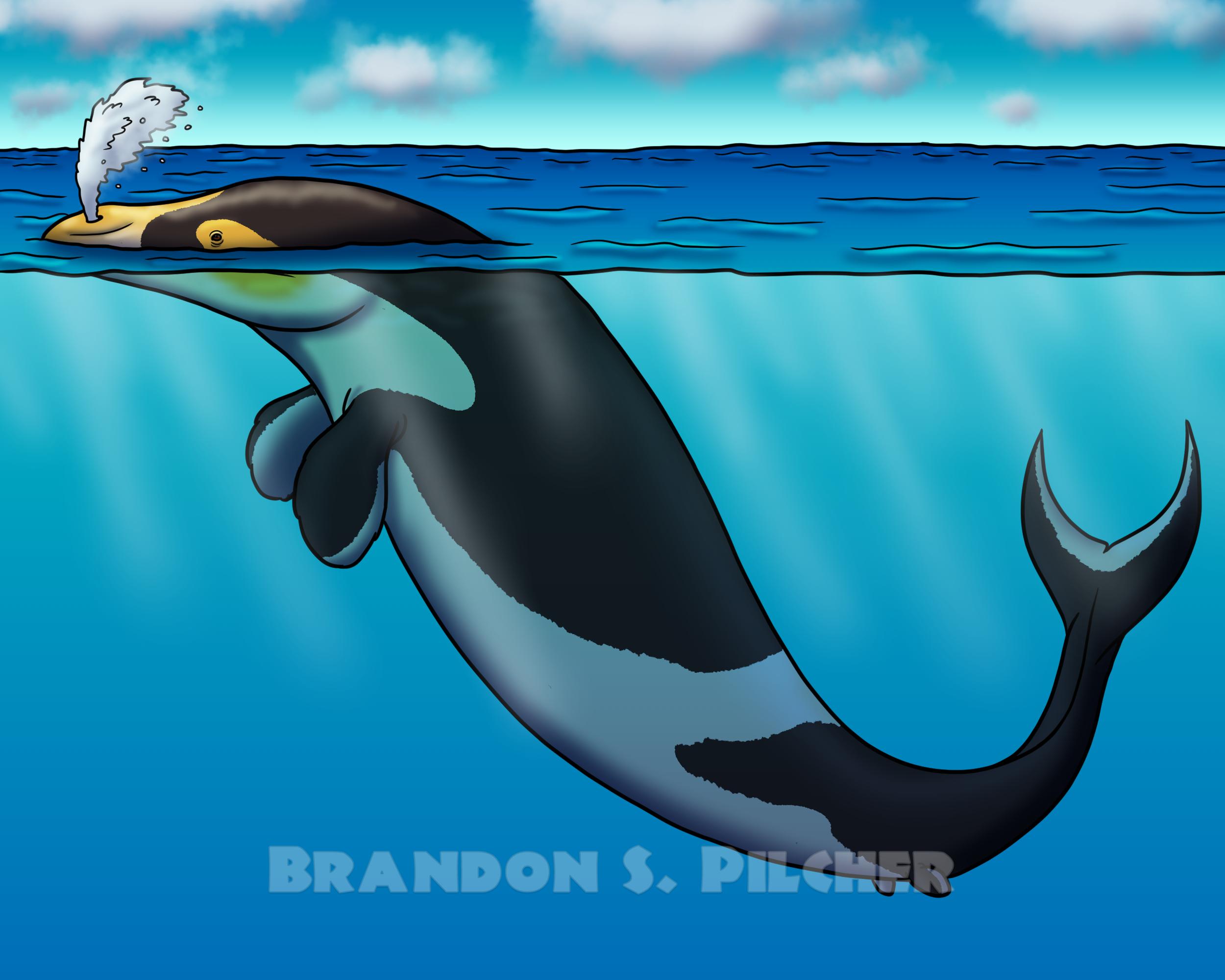 Perucetus Brandon Pilcher S Creative Adventures